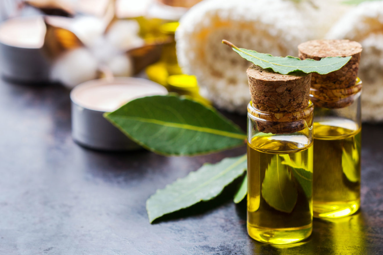 Lorbeeröl: Großer Ratgeber für das unbekannte Naturheilmittel ...